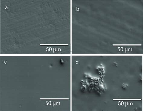 Sem Micrographs Of The Blend Surface A Plapbat B Pla Pbat Fa1