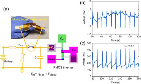 Signal Amplification Demonstration Of The Subthreshold Sb Swcnt Fets Download Scientific