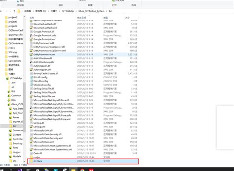 Why Webapi Generate A Zh Hans Directory In Bin Directory