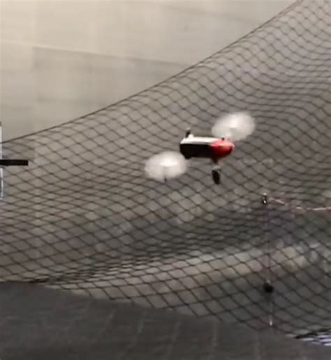 Incremental Nonlinear Fault Tolerant Control Of A Quadrotor With Complete Loss Of Two Opposing