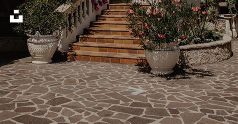 큰 계단과 화분이있는 건물 사진 Unsplash의 무료 브레시아 이미지