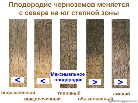 Черноземы - online presentation
