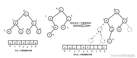 【数据结构（c语言）】树、二叉树详解 树与二叉树 c语言 csdn博客