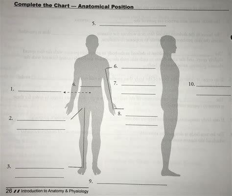 Anatomical Position Diagram Quizlet