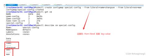 【云原生】k8s配置资源管理 Csdn博客