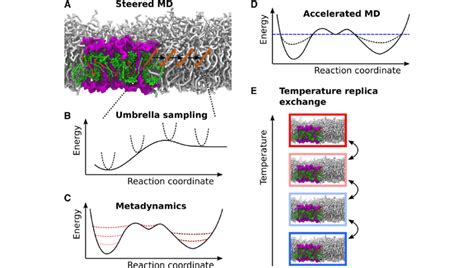 Schematic Representation Of Selected Enhanced Sampling Techniques A Download Scientific