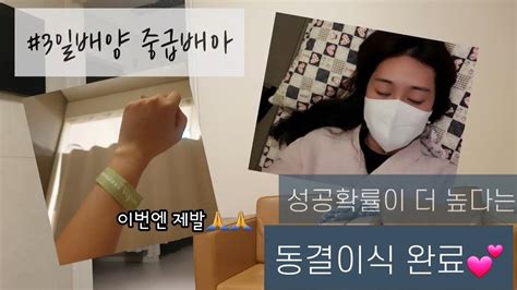 시험관 동결 1차 배아 이식날 🤗 3일배양 이식후기 시험관브이로그 난임브이로그 시험관 이식1차 성공 하고싶어요🙏🙏