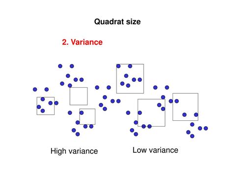 Ppt Quadrat Sampling Quadrat Shape Quadrat Size Lab Powerpoint
