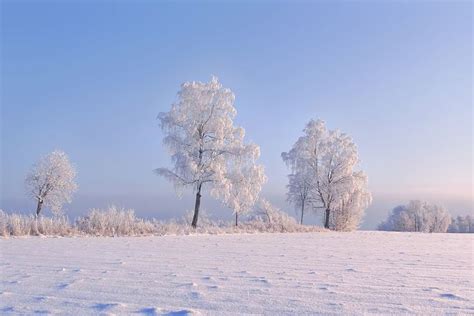 Winter Tale About 20 Temperature Winters Tale Beautiful