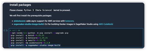 带你ssh到amazon Sagemaker 训练实例一探究竟 亚马逊aws官方博客