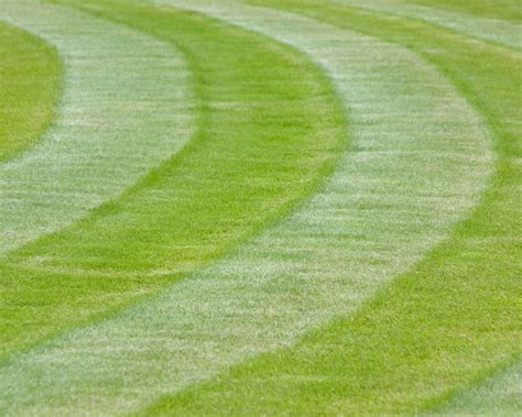 Lawn Mowing Patterns Designs Plus Tips On How To Do It Gardeningetc