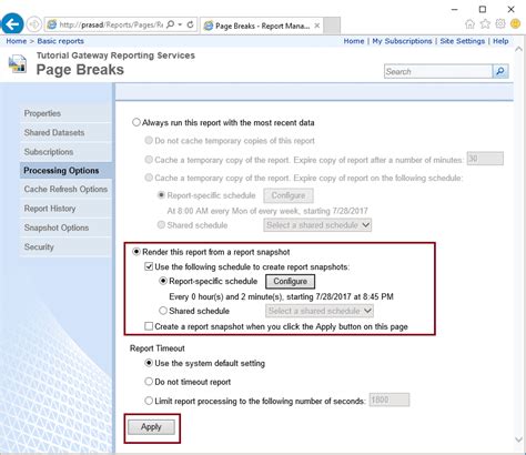 Snapshot In Ssrs