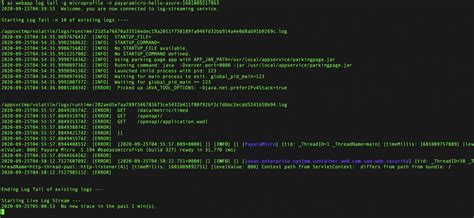 Implantar Um Aplicativo Web Do Payara Micro No Serviço De Aplicativo Do Azure Com O Maven Java