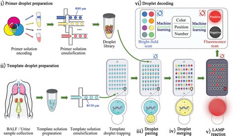 Schematic Illustration Of The Workflow Of The Droplet Encoding‐pairing Download Scientific