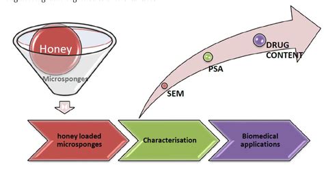 Figure 1 From Fabrication And Characterisation Of Honey Loaded