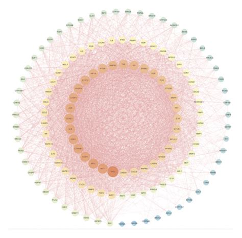 Ppi Network Diagram Of Intersection Targets A Ppi Network Diagram