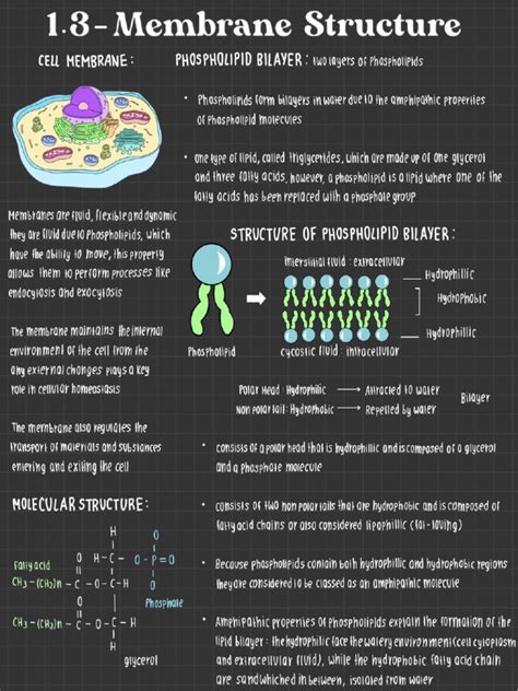 Cell Biology Notes Pdf