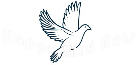 Services Happy Birdnets Services