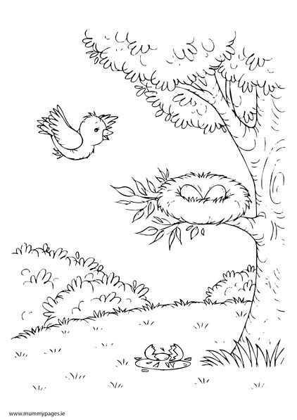 Spring Scene With Tree And Bird S Nest Colouring MummyPages Ie
