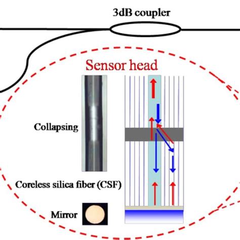 Schematic Of The Refractive Index Sensor System Download Scientific