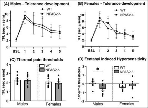 Sex Specific Role Of The Circadian Transcription Factor Npas2 In Opioid