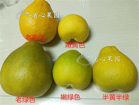 柚子放时间长了，还能吃么？怎么吃更好？ 知乎