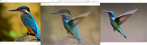Cv2 Addweighted Implementation Example With Steps