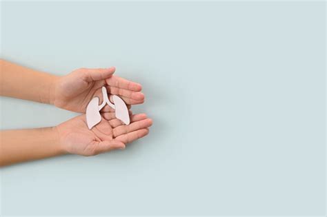 세계 폐렴의 날 또는 세계 결핵의 날 대처 폐를 들고 있는 어린 아이의 손 개념 호흡기와 가슴 세계 금연 담배의 날 폐암 폐 고혈압 11월에 대한 스톡 사진 및 기타 이미지