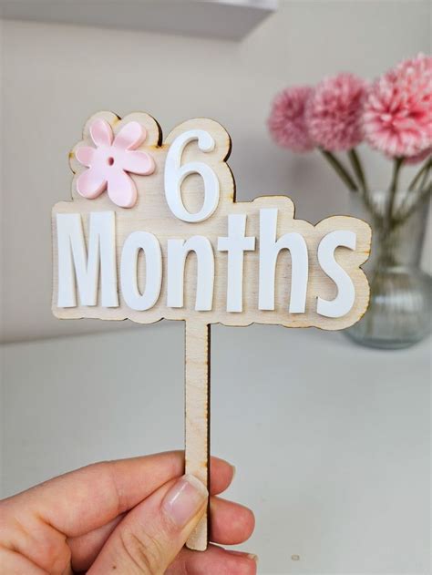 6 Month Cake Topper Boho Half Birthday Flower Decoration Wedding
