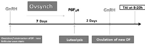 Ovsynch Protocol Gpg Method For Hormonal Manipulation Of Estrous