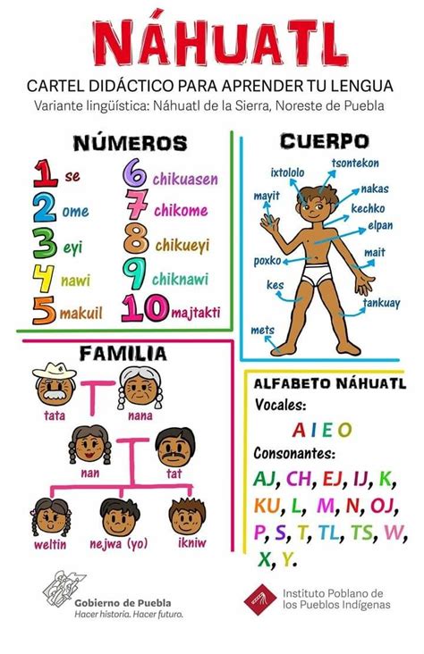 Nahua Culture Zapotec Glyphs Nahuatl Language Alphabet Dialectos