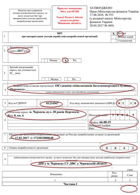 Звіт неприбуткової організації 2024 МОГОЛ АЛЬФА