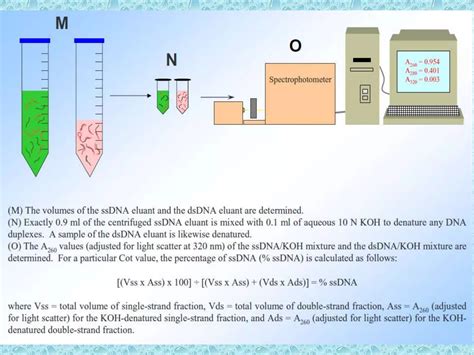 Cot Curve Analysis For Gene And Genome Complexity PPT Biological Sciences Science