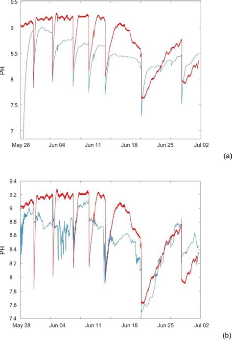 Validation Of The Nonlinear Dynamic Black Box Models Of Ph In