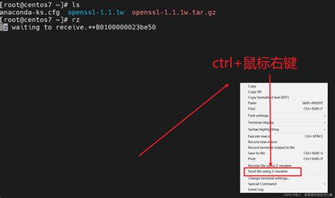 MobaXterm使用Lrzsz上传下载文件rzsz mobaxterm rz sz CSDN博客