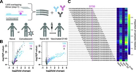 Recurrent Sars Cov 2 Mutations At Spike D796 Evade Antibodies From Pre