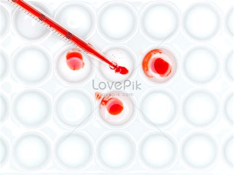 마이크로 플레이트 및 피펫 사진 무료 다운로드 Lovepik