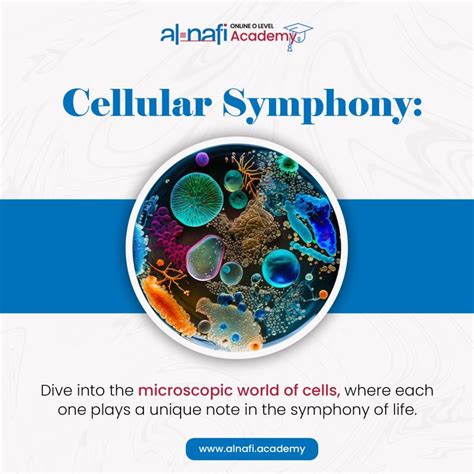 Al Nafi O Level Academy On Linkedin Alnafi Education Educate