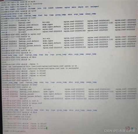 Java项目部署：tomcat与nginx实战 Csdn博客