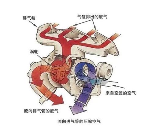 汽车的t是什么意思啊 有驾