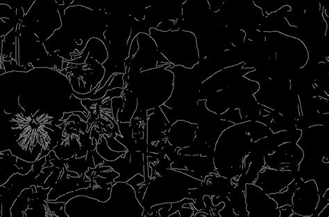 implementing image processing algorithms