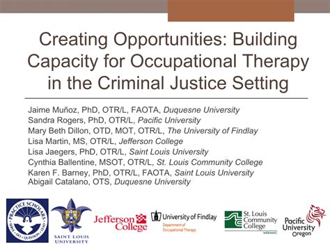 Pdf Building Capacity For Occupational Therapy In The Criminal