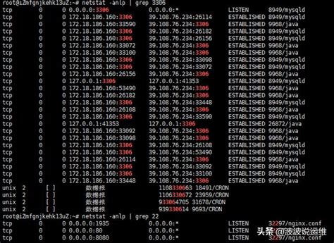 linux 开放端口 详解linux如何查看服务器开放的端口号 csdn博客
