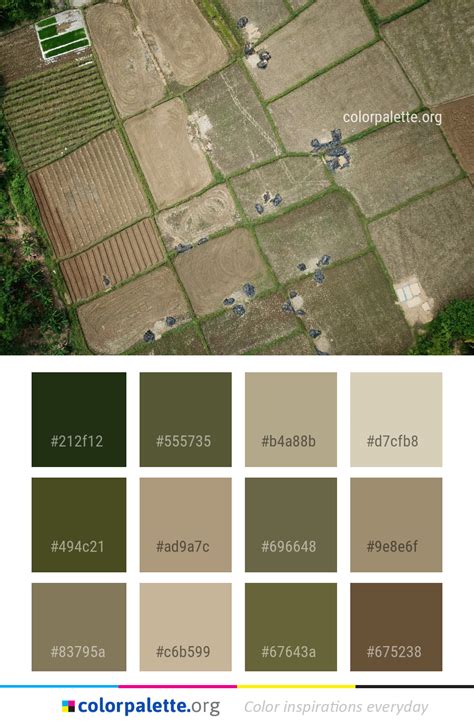 Aerial Photography Grass Color Palette