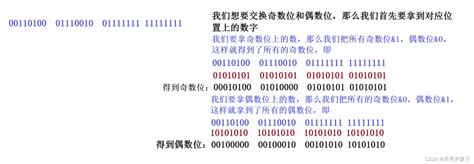 写一个宏，交换整数二进制位的奇数位和偶数位，并打印这个新的数 Csdn博客