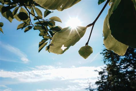 Best R Photo Images On Pholder I M Not A Landscape Photographer What Do You Think