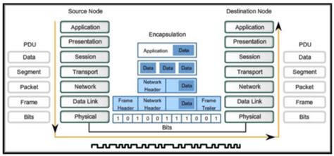 CNIT Exam Flashcards Quizlet