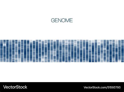 Big Genomic Data Visualization Royalty Free Vector Image