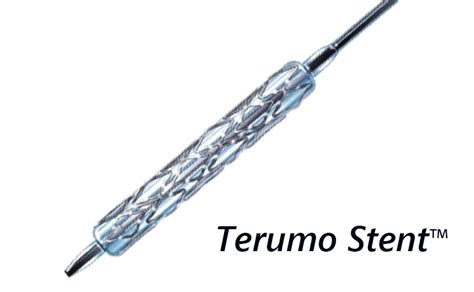 Tis History About Us Terumo Interventional Systems