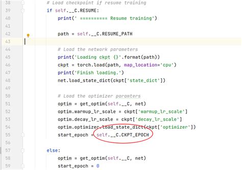 Pretrainpy的代码，当resume的时候，startepoch Selfcckptepoch是不是有问题呢？ · Issue 28 · Milvlgprophet